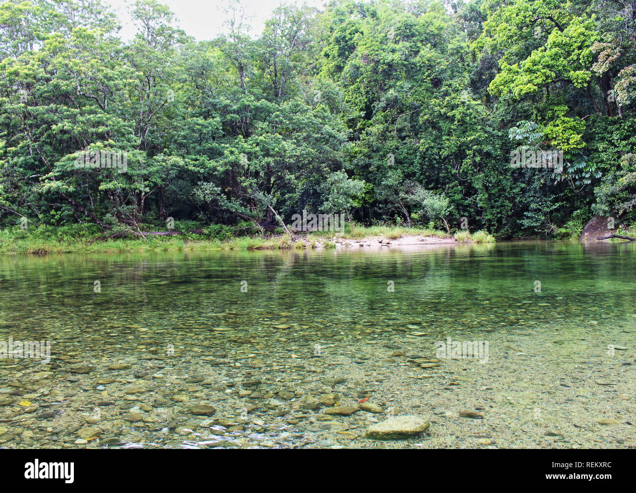 Babinda Creek swimming hole, clear, crisp cool water, at the top of the ...