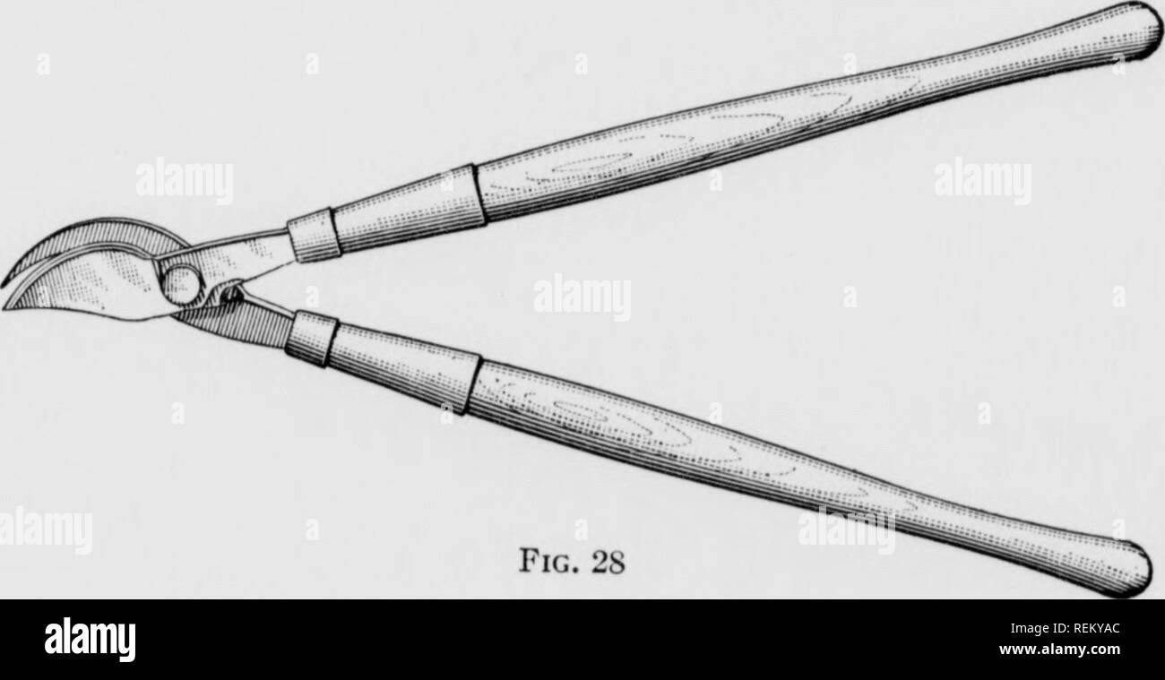 Long handled shears Black and White Stock Photos & Images - Alamy