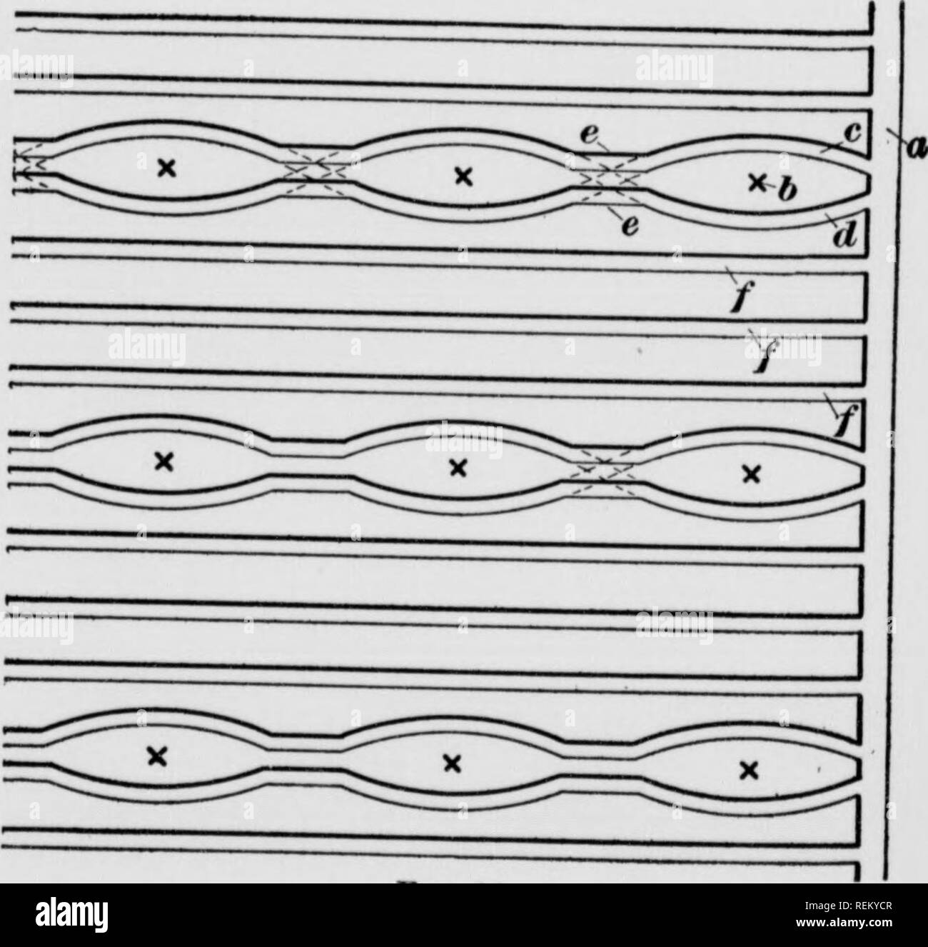Cirtus grove hi-res stock photography and images - Alamy