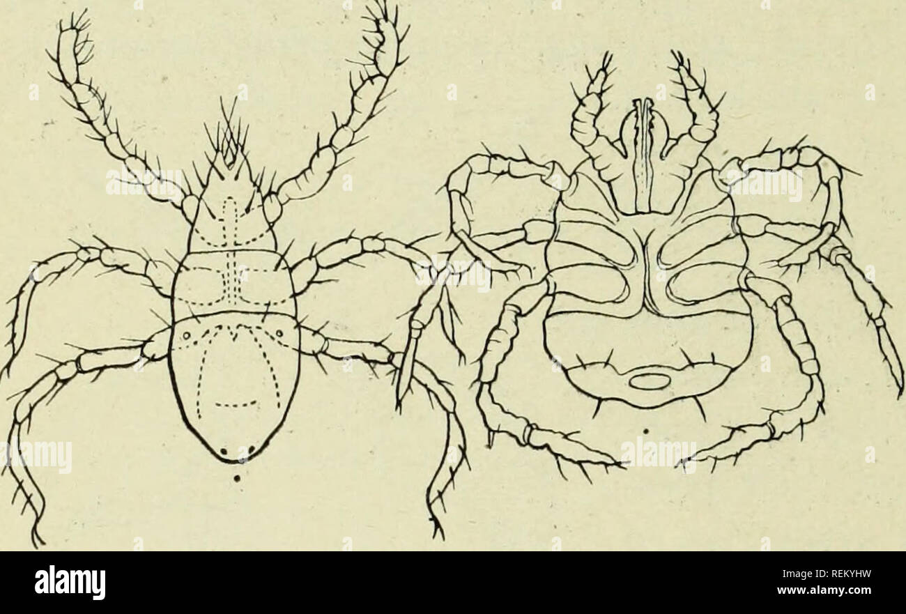 . Circular. Insects. 2 as they occur on the under surface of the bodies ...