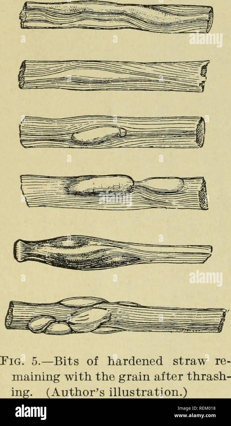 . Circular. Insects. 4 in length, many of which do not go over with the ...