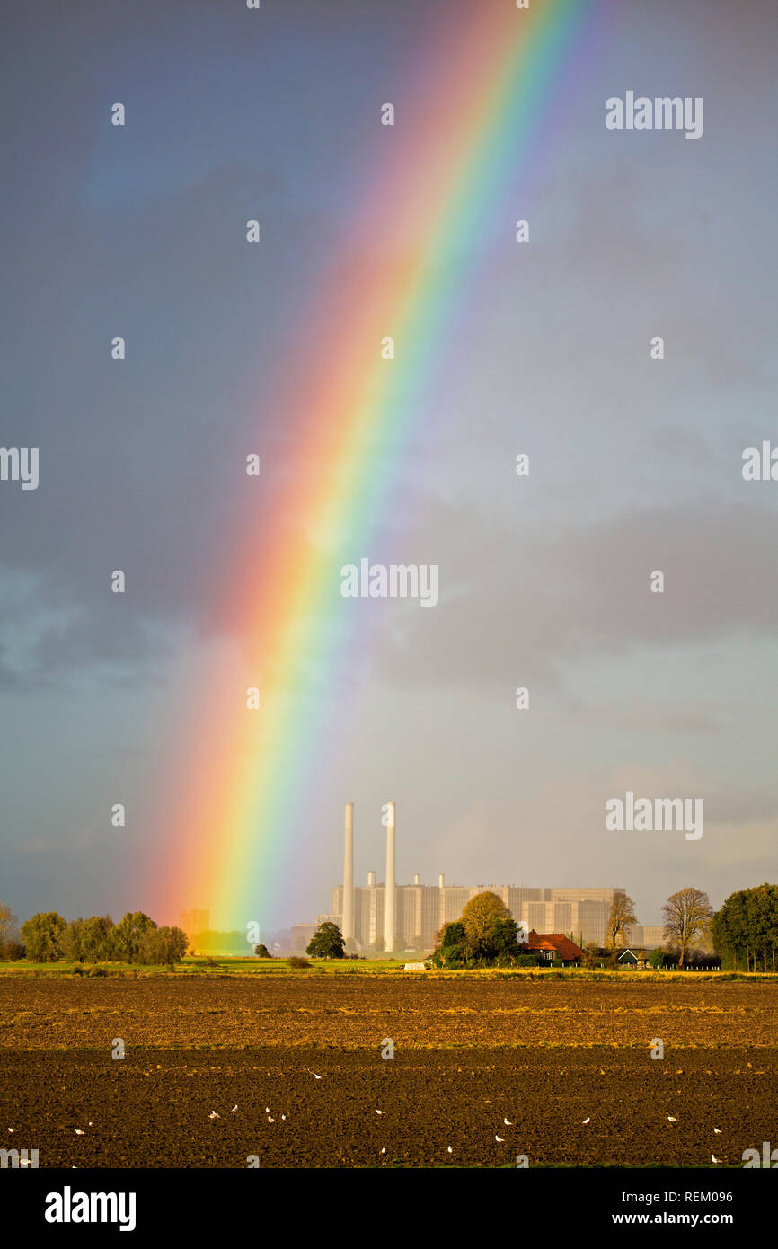 The Netherlands, Deventer, Farm, farmland, factory, rainbow Stock Photo ...