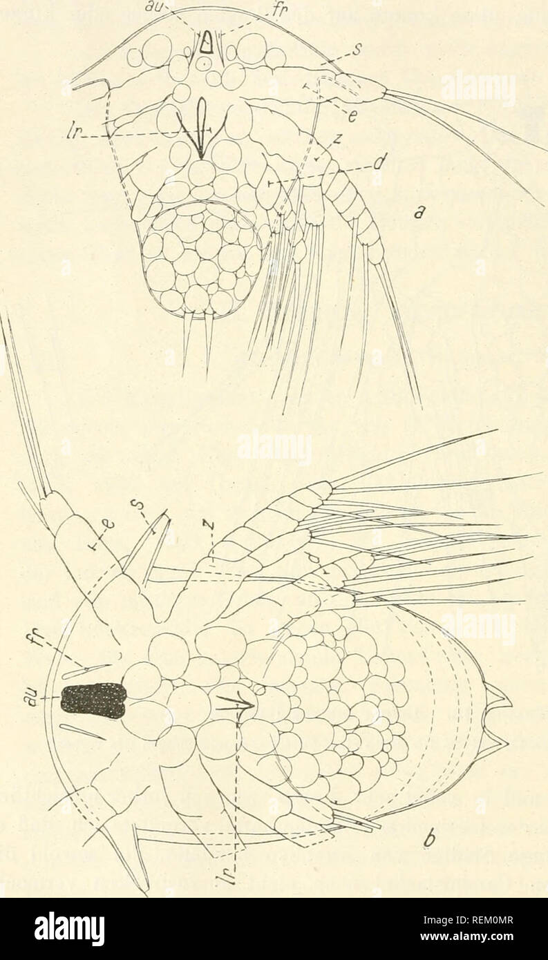 100 teil a hi-res stock photography and images - Alamy