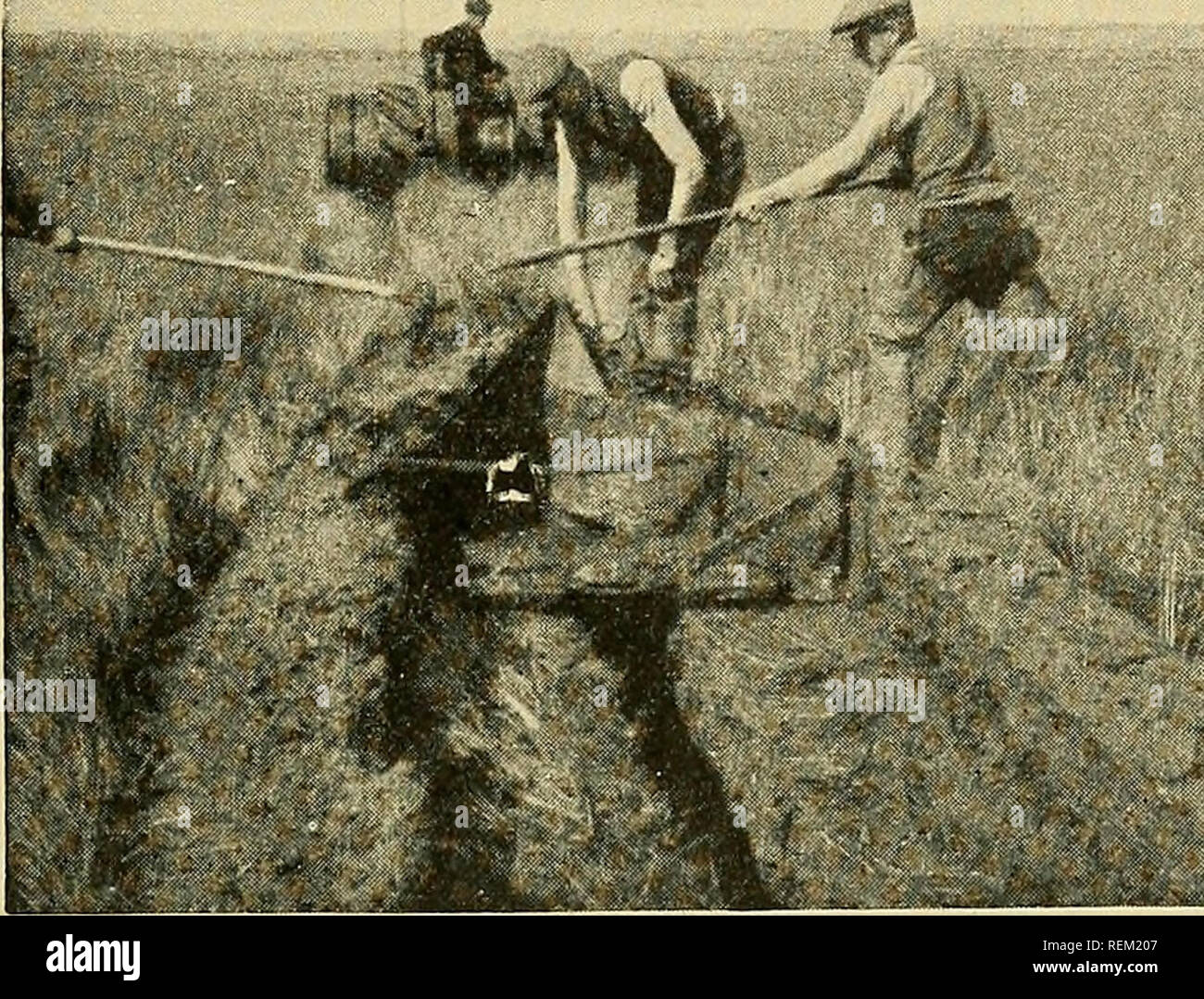 Ridding plow hi-res stock photography and images - Alamy