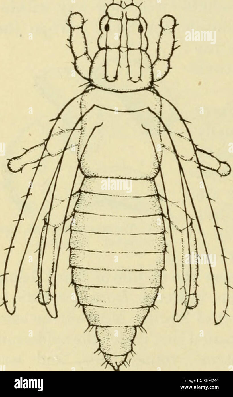 . Circular. Insect pests; Insect pests. 6 HOW TO CONTROL THE PEAR ...