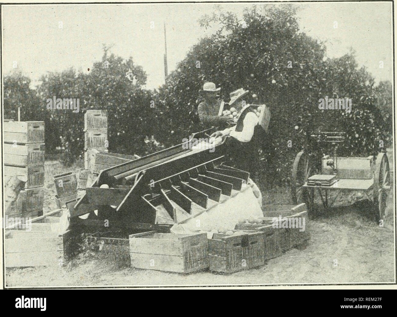 Grading on a scale of 5 hi-res stock photography and images - Alamy