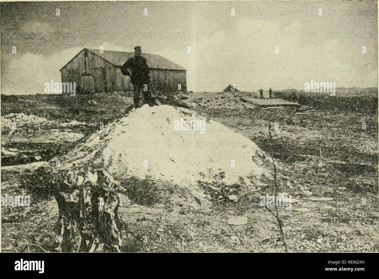 Tons of dynamite hi-res stock photography and images - Alamy