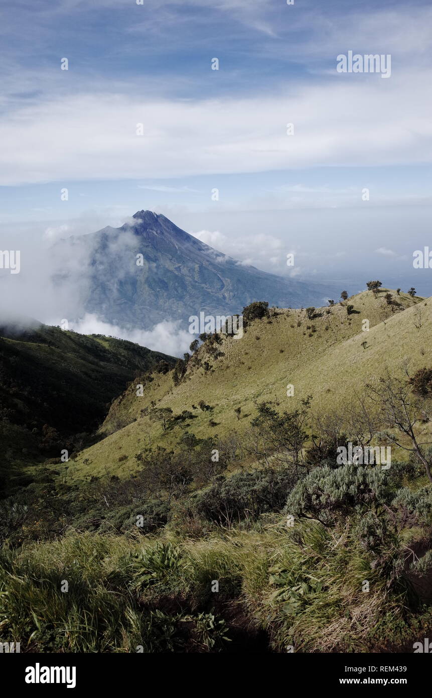 Ascending Mount Merbabu Indonesia Stock Photo - Alamy