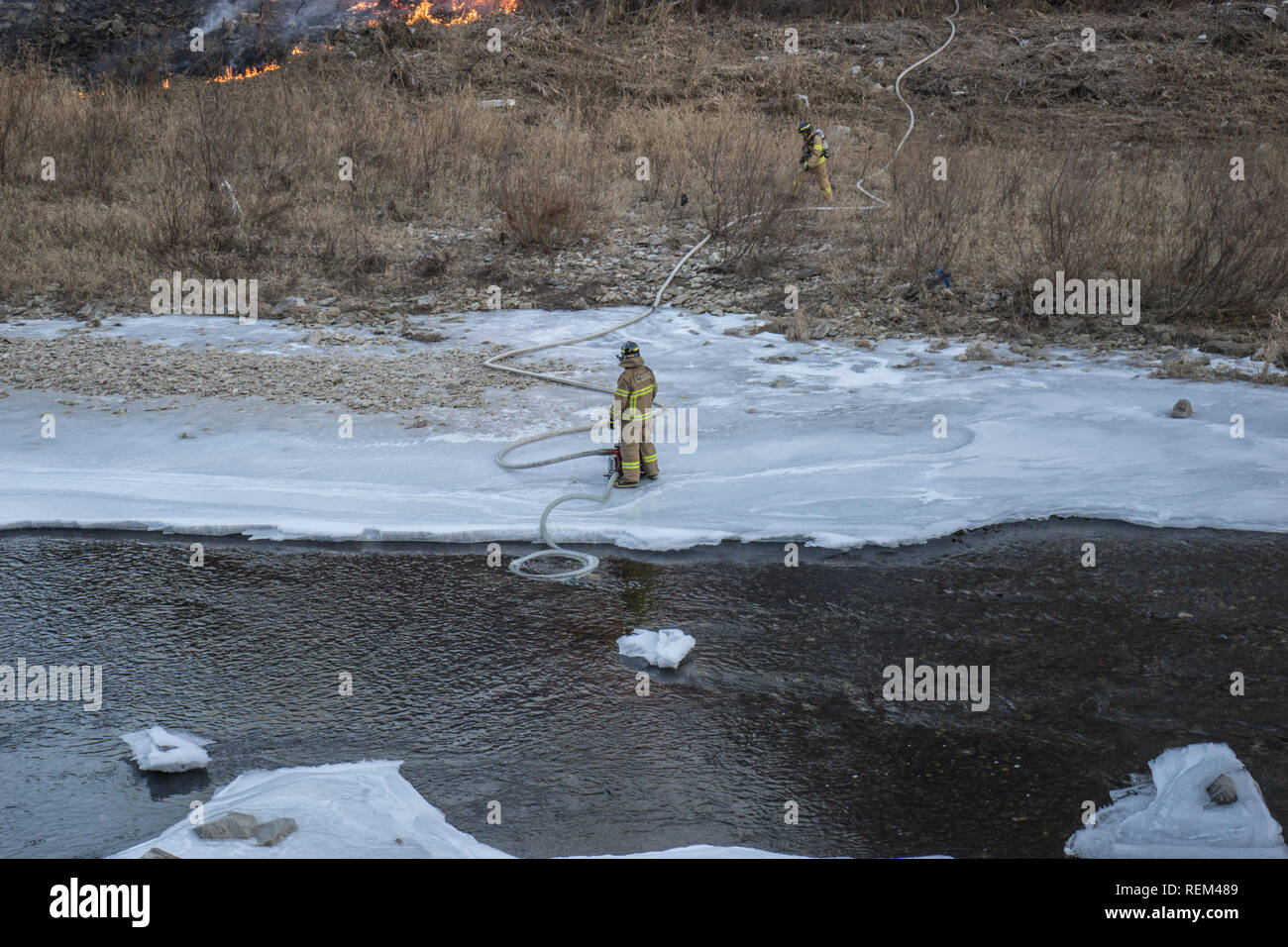 Fire flamingos hi-res stock photography and images - Alamy