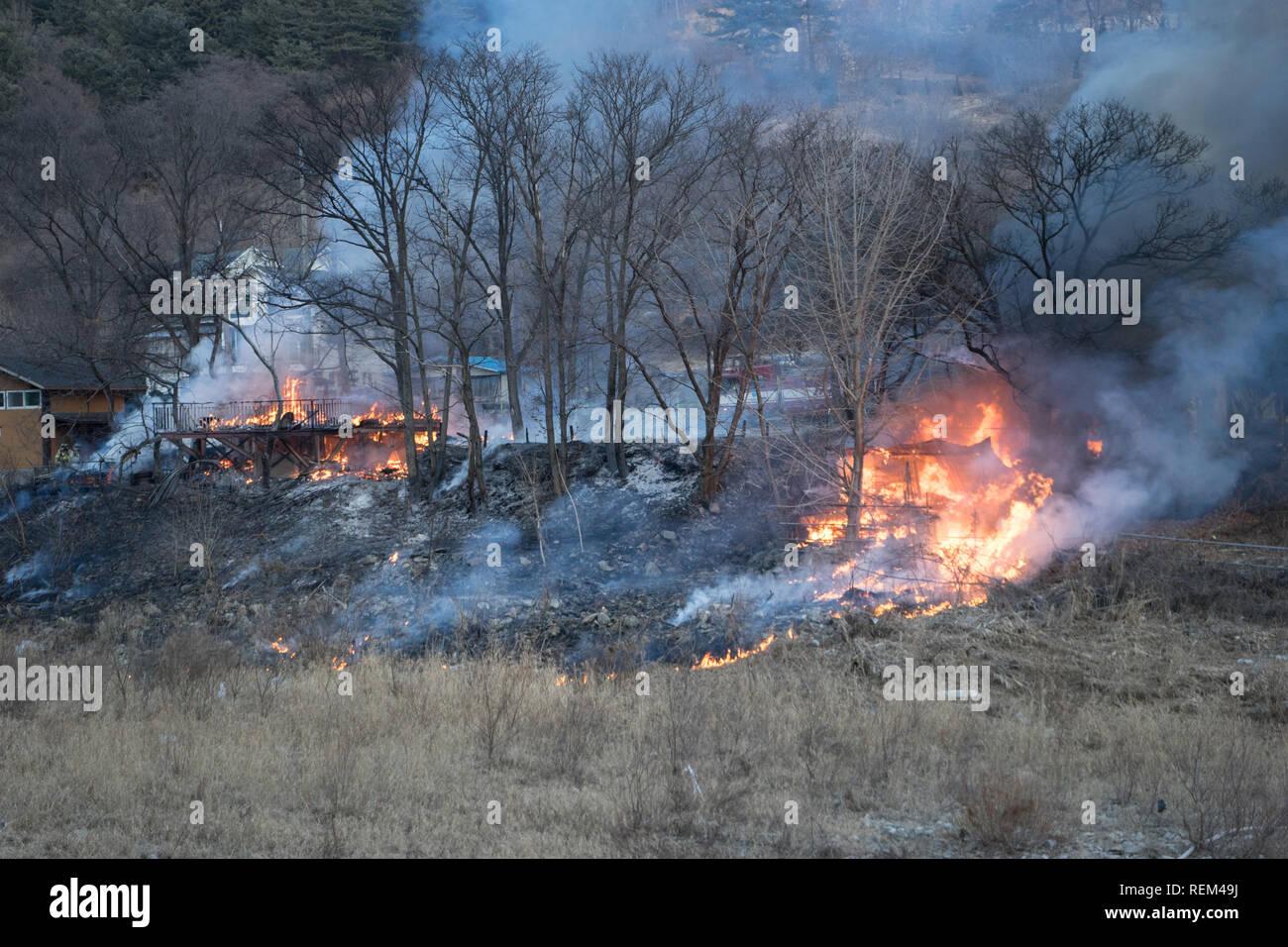 Fire flamingos hi-res stock photography and images - Alamy