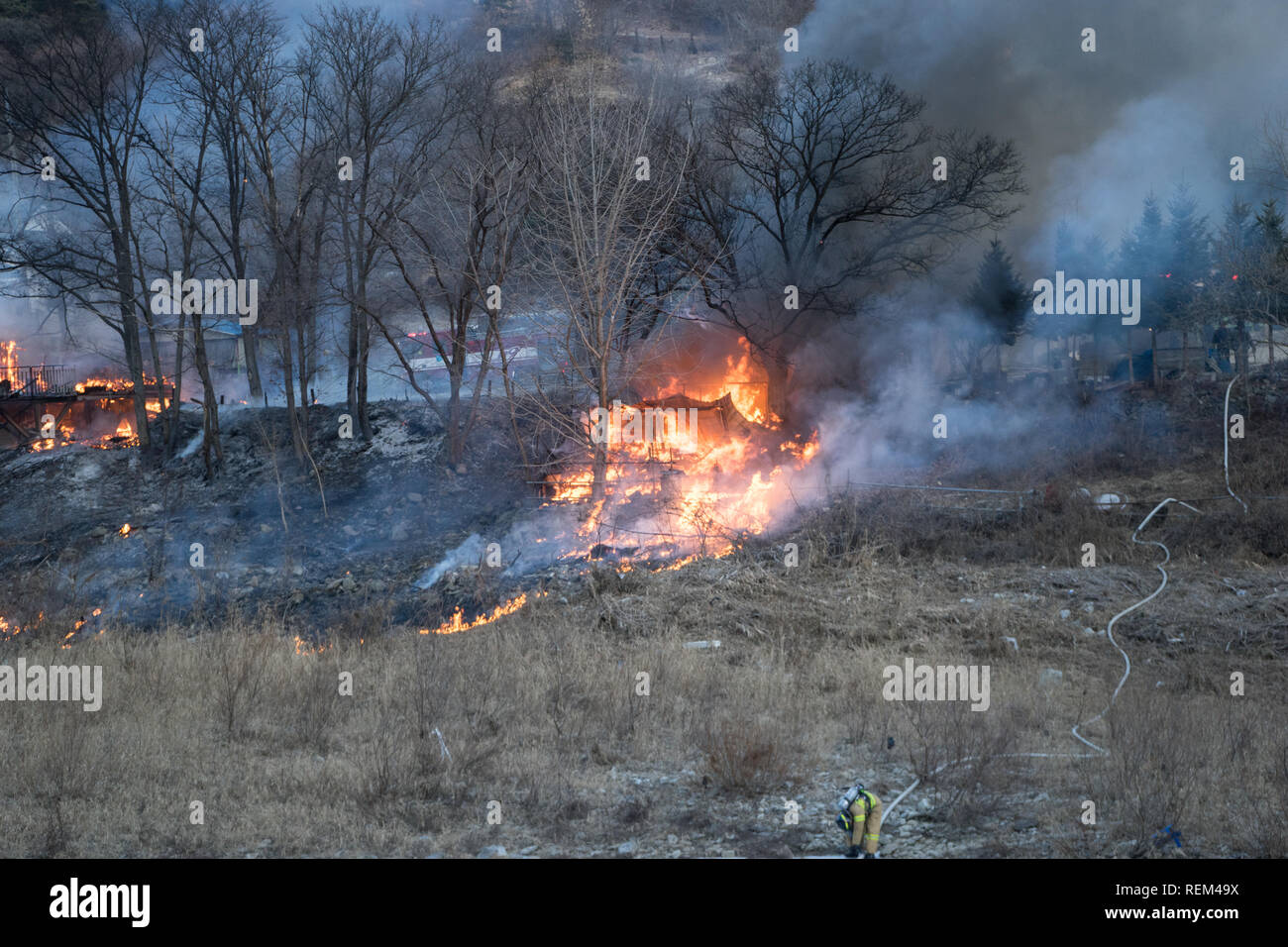 Fire flamingos hi-res stock photography and images - Alamy