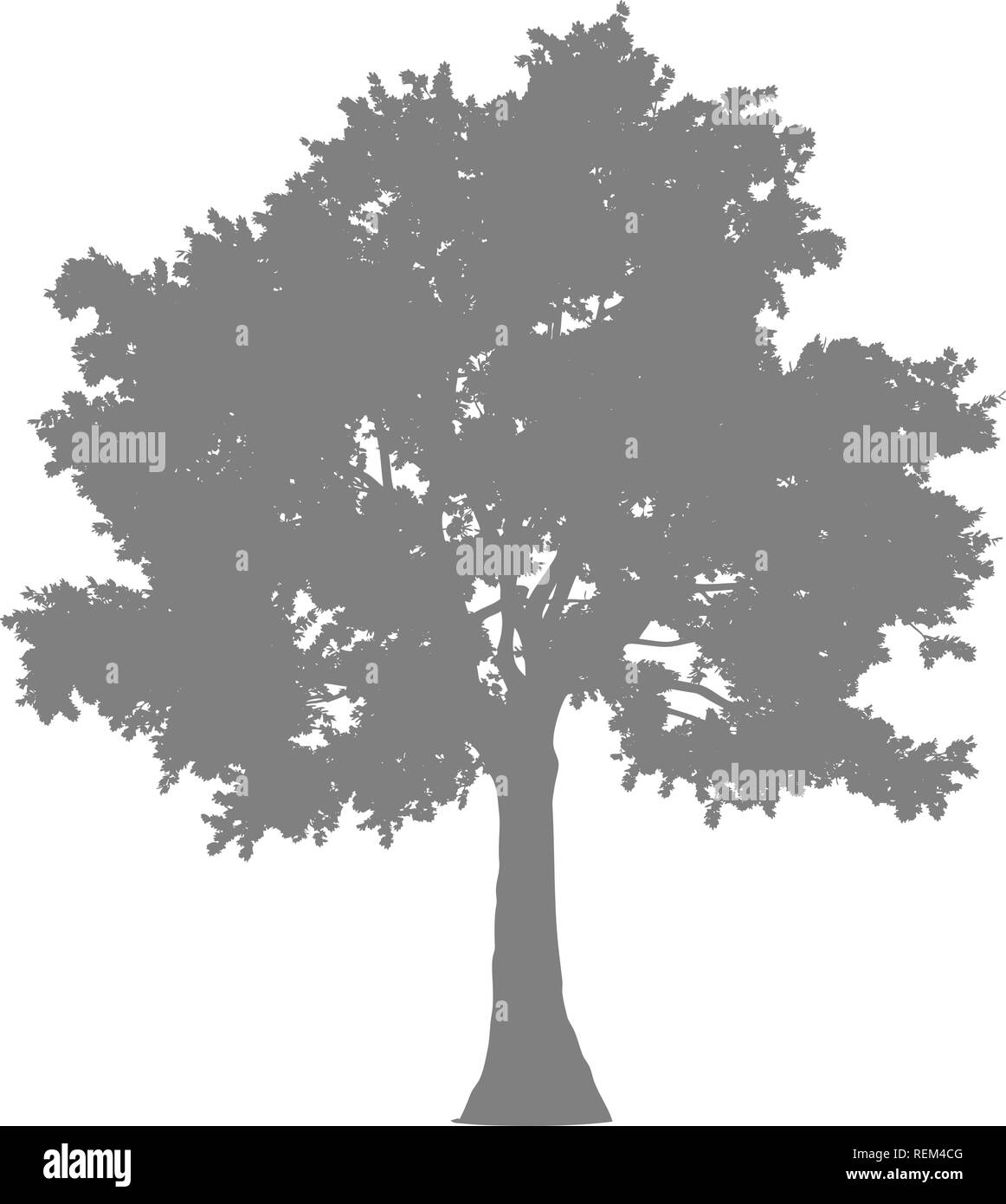 Gray silhouette of plants Stock Vector Images - Alamy