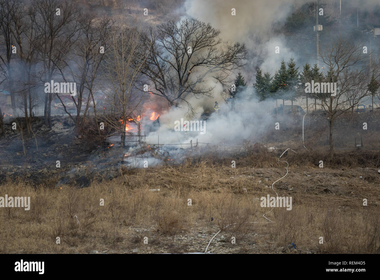 Fire flamingos hi-res stock photography and images - Alamy
