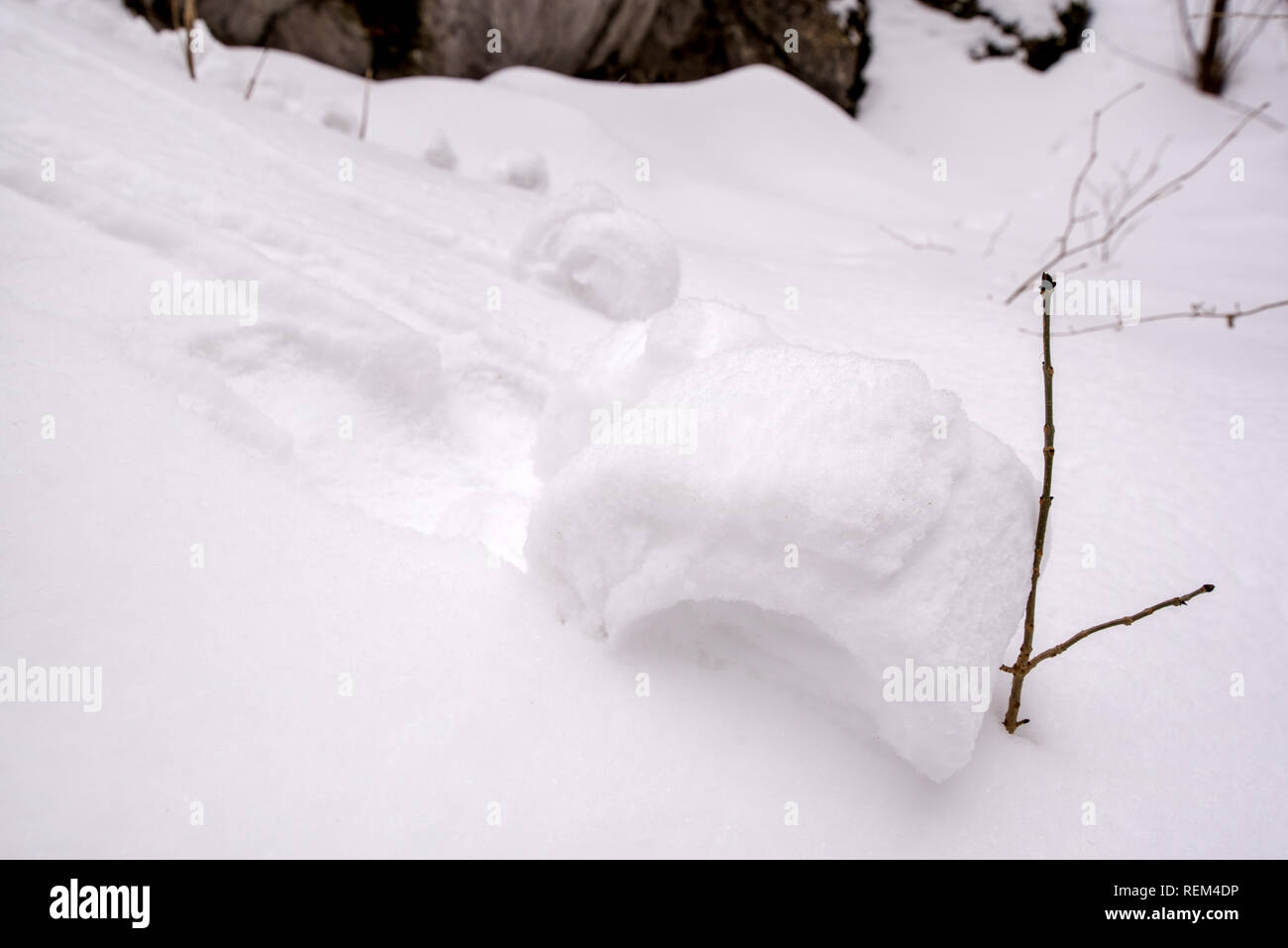 Big snowballs rolling and falling down from mountain peaks in forest ...