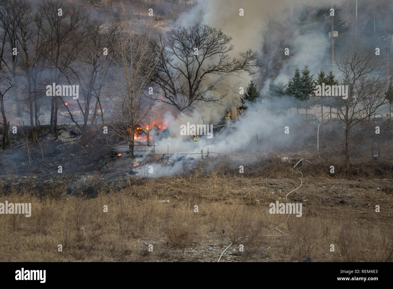 Fire flamingos hi-res stock photography and images - Alamy