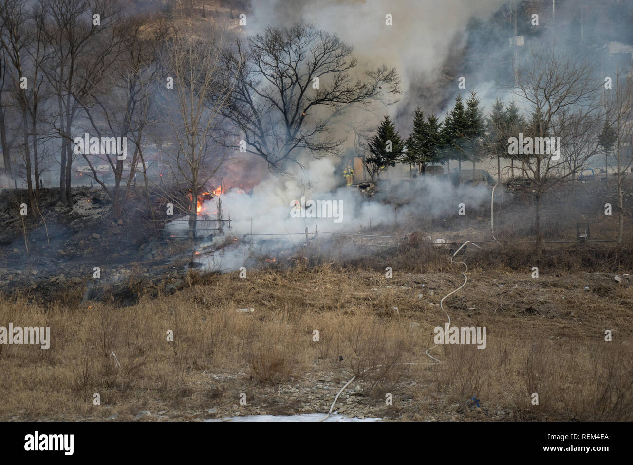Fire flamingos hi-res stock photography and images - Alamy