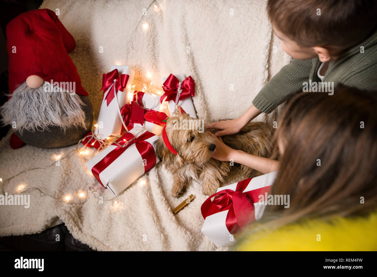 Children receiving Christmas gift box with puppy inside. Dog with red ...