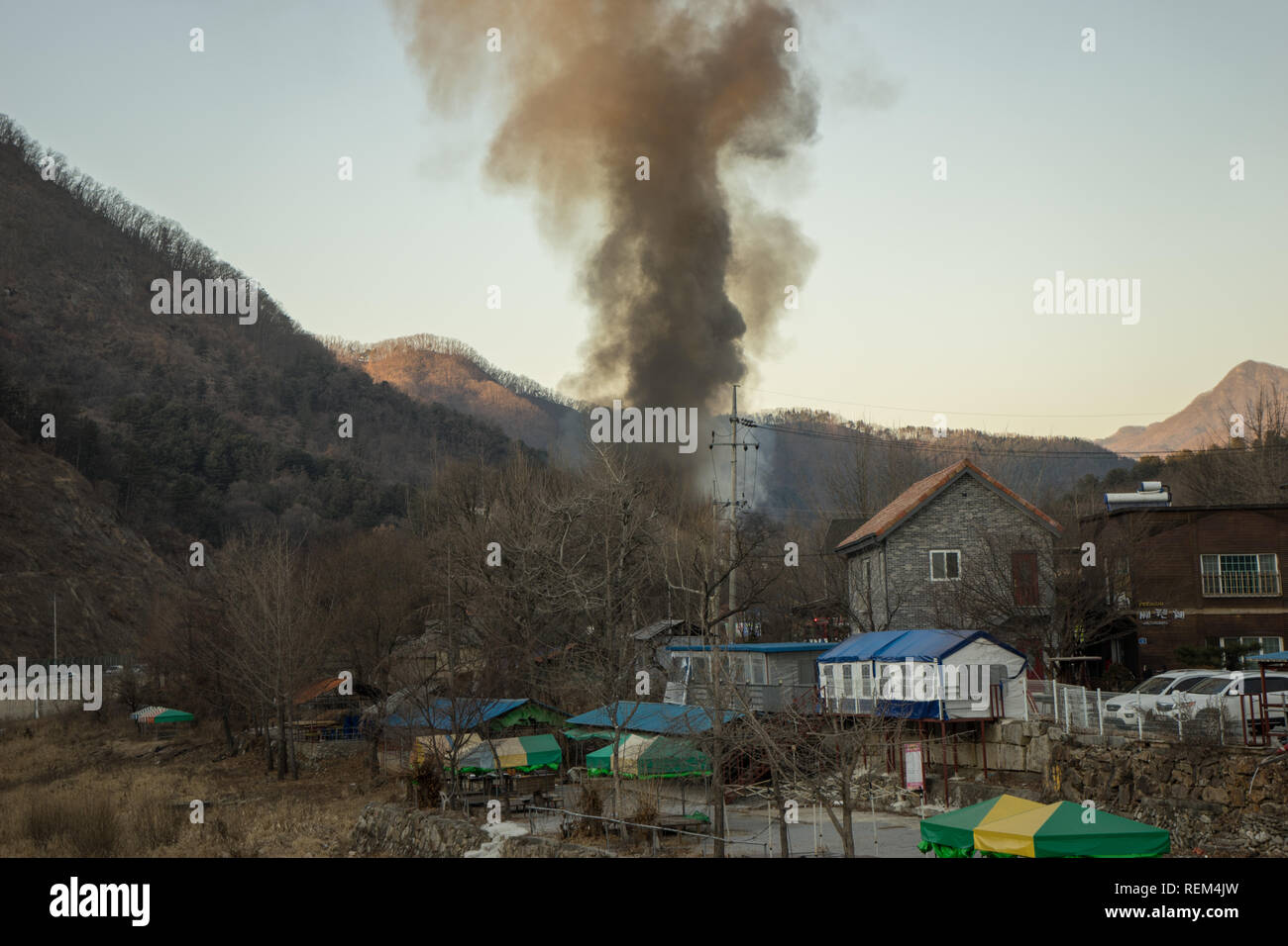 Fire flamingos hi-res stock photography and images - Alamy