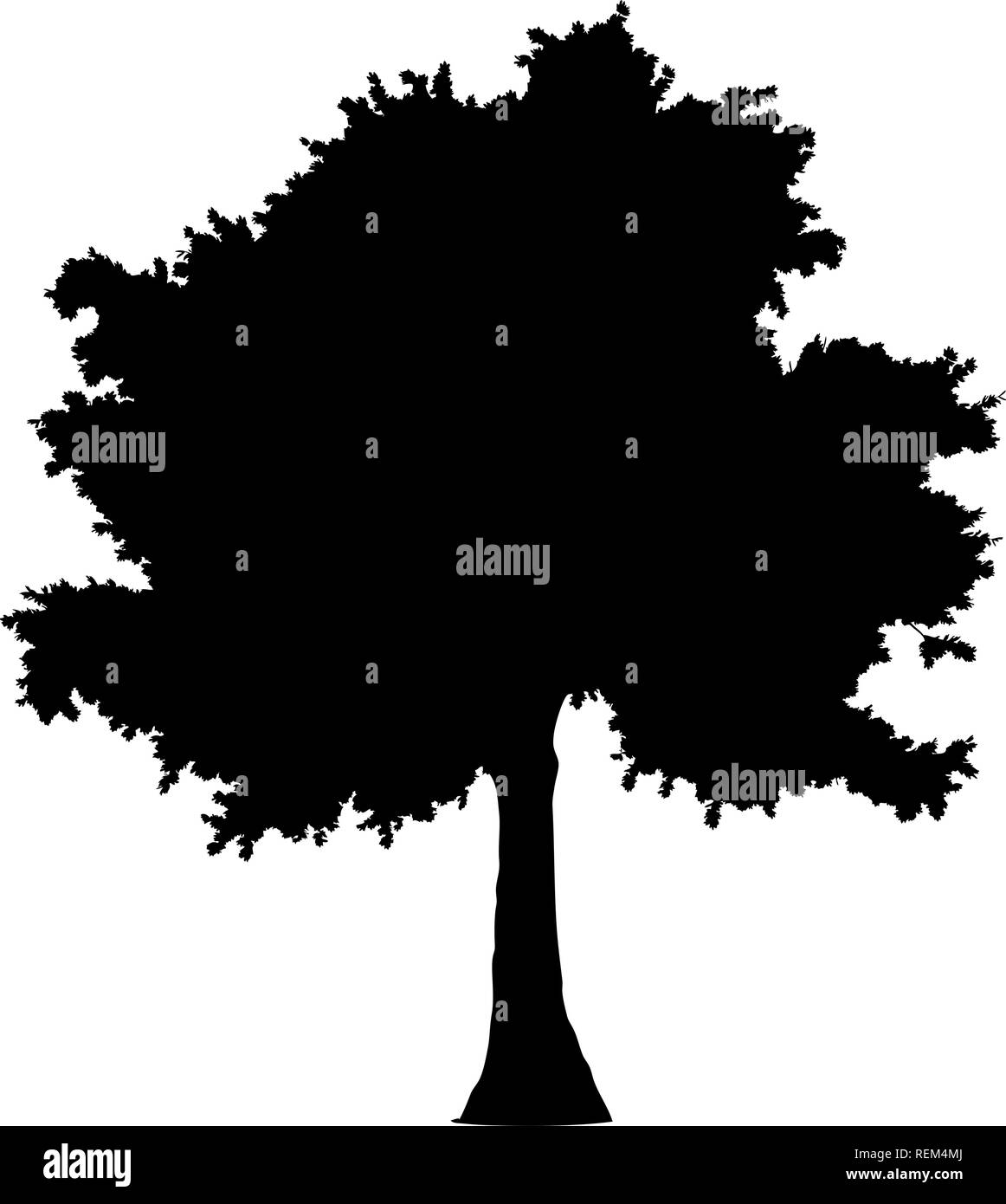 Tree profile silhouette isolated - black simple detailed - vector ...