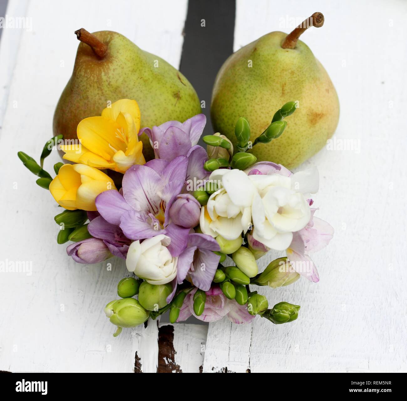 English freesia hi-res stock photography and images - Alamy