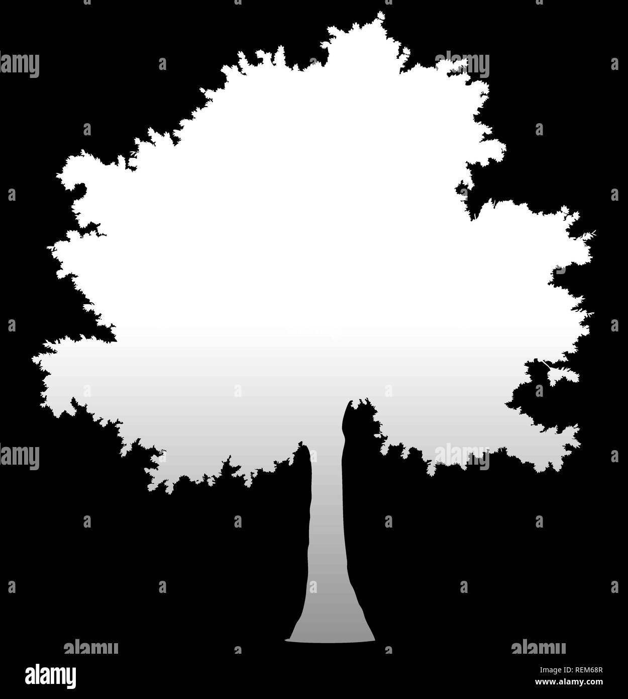 Tree profile silhouette isolated - white gradient detailed - vector ...