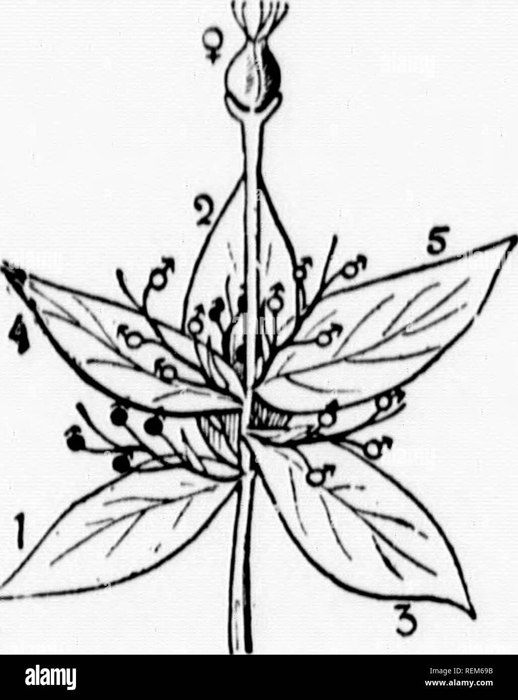 Ithium hi-res stock photography and images - Alamy