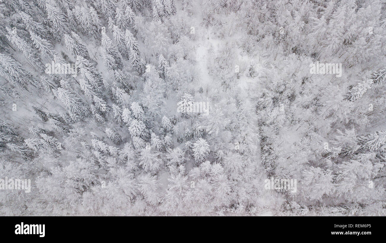 Frozen tree top hi-res stock photography and images - Alamy