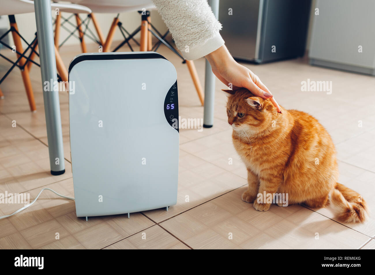 Dehumidifier with touch panel, humidity indicator, uv lamp, air ionizer ...