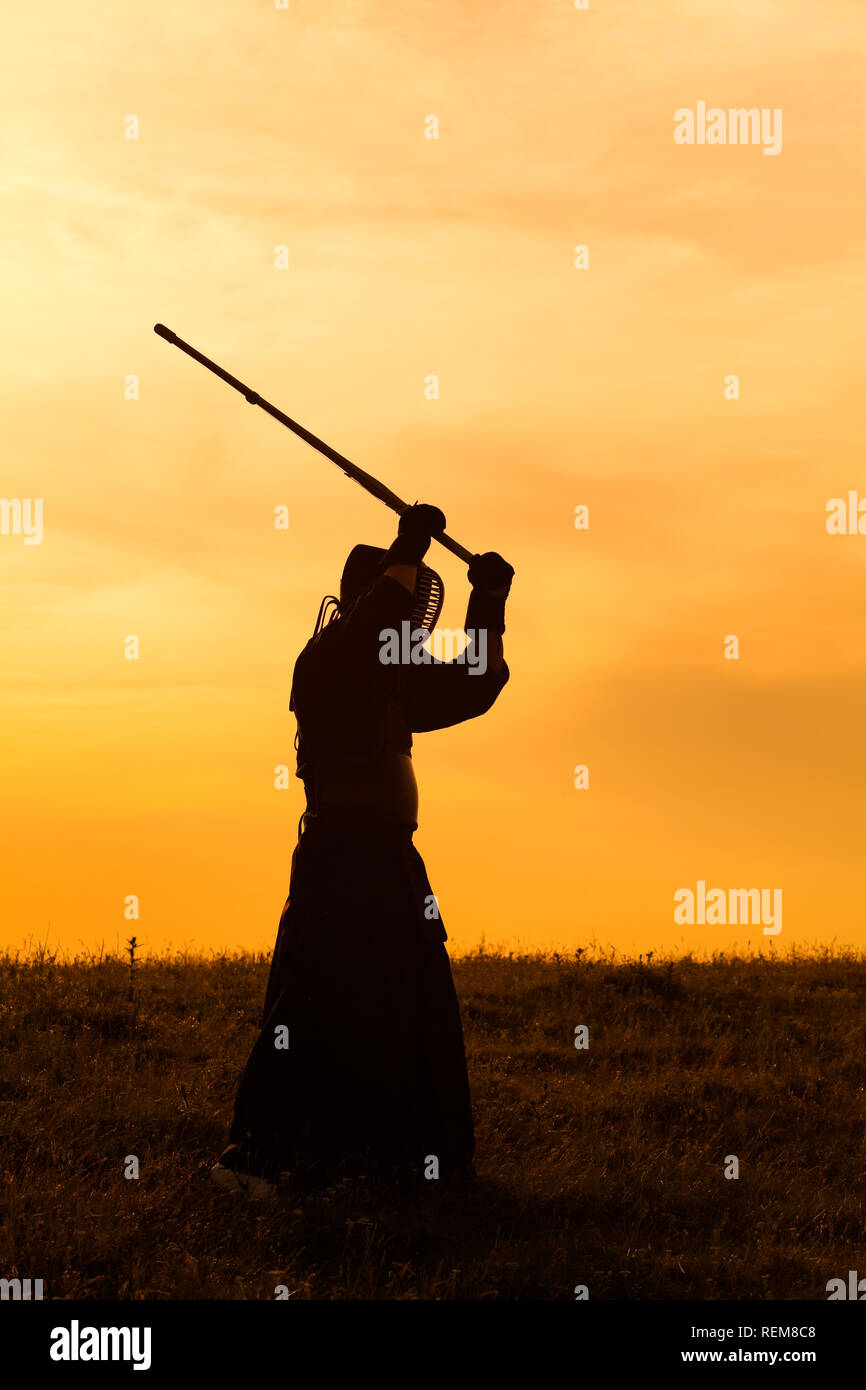 Silhouette of kendo fighter with shinai Stock Photo - Alamy