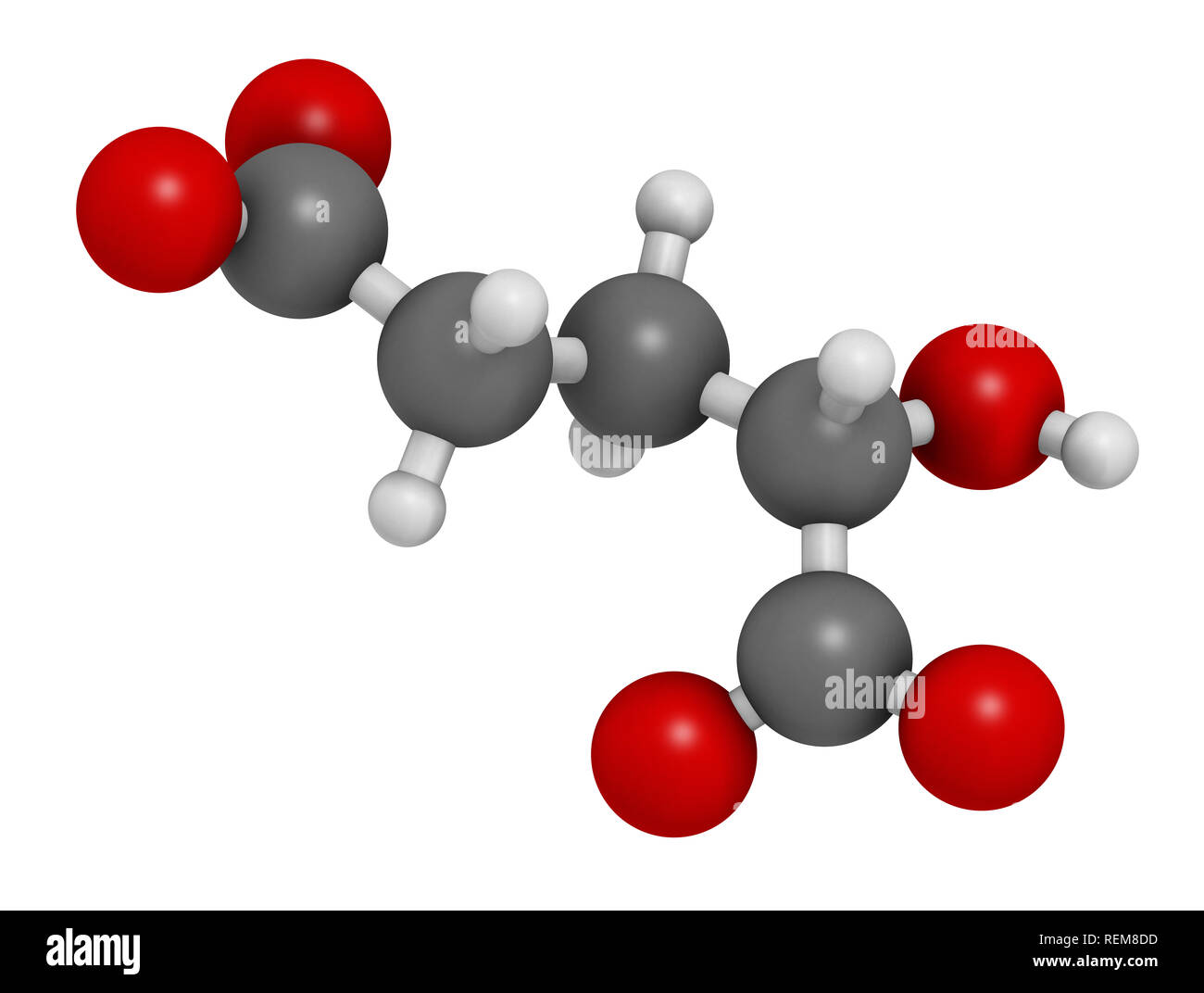 2-hydroxyglutarate molecule. 3D rendering. Atoms are represented as ...