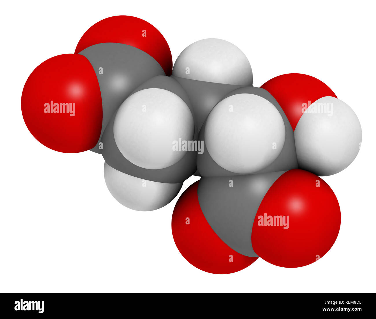 2-hydroxyglutarate molecule. 3D rendering. Atoms are represented as ...