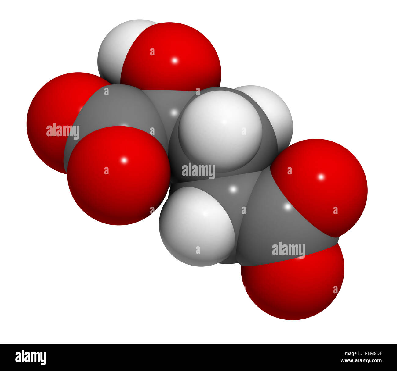 2-hydroxyglutarate molecule. 3D rendering. Atoms are represented as ...