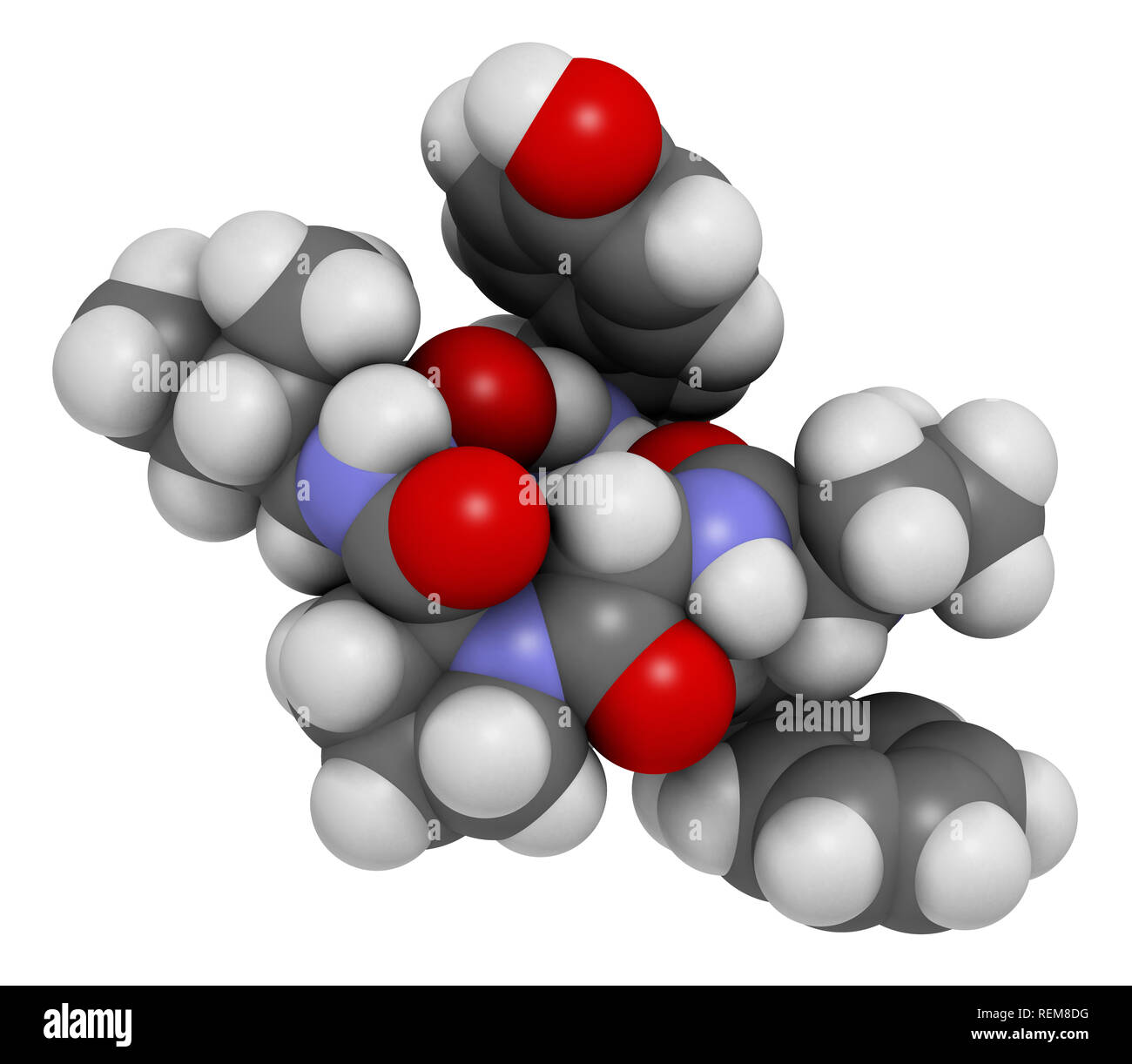 Beta-casomorphin peptide 7 molecule. Breakdown product of casein that ...