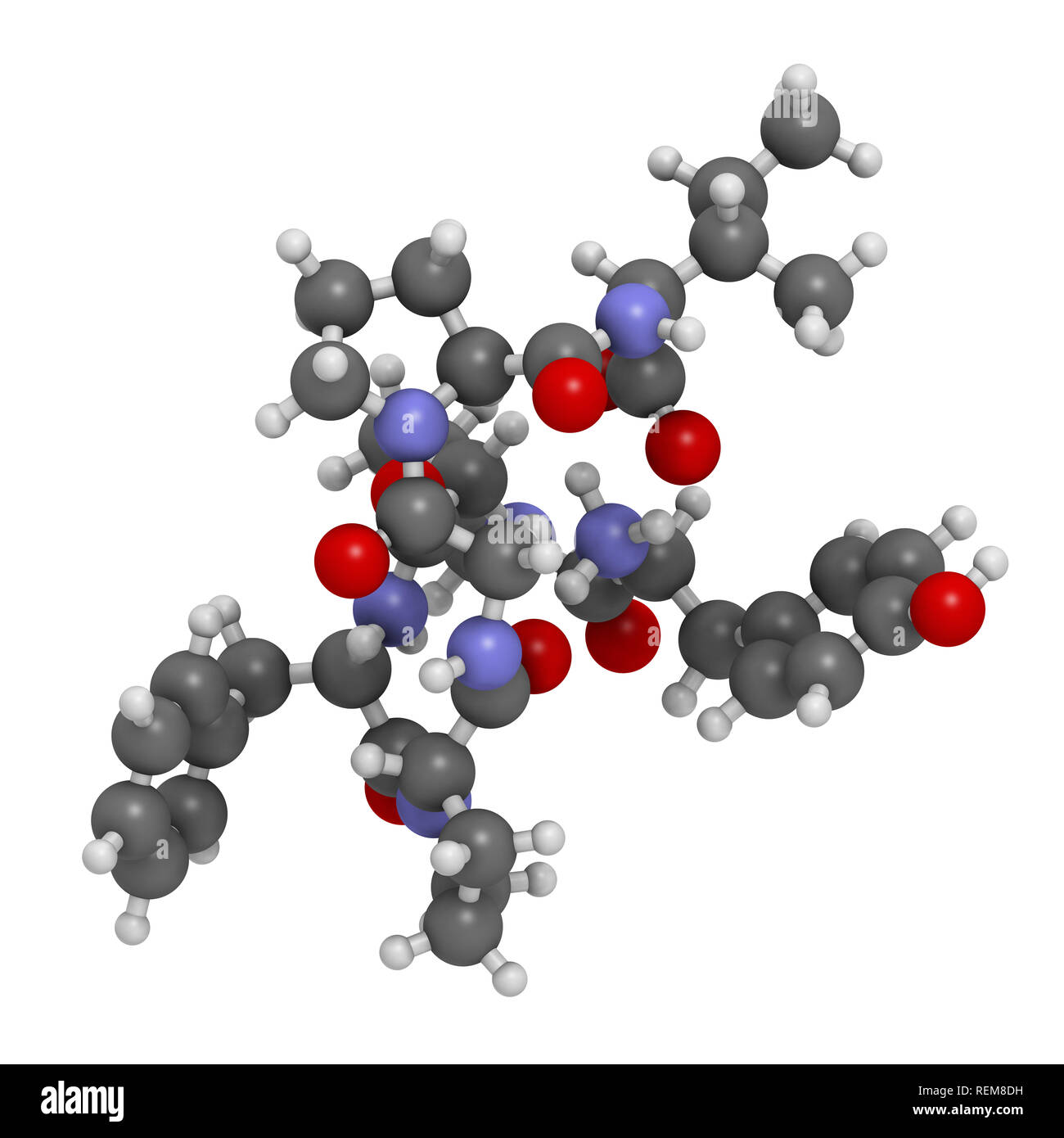 Beta-casomorphin peptide 7 molecule. Breakdown product of casein that ...