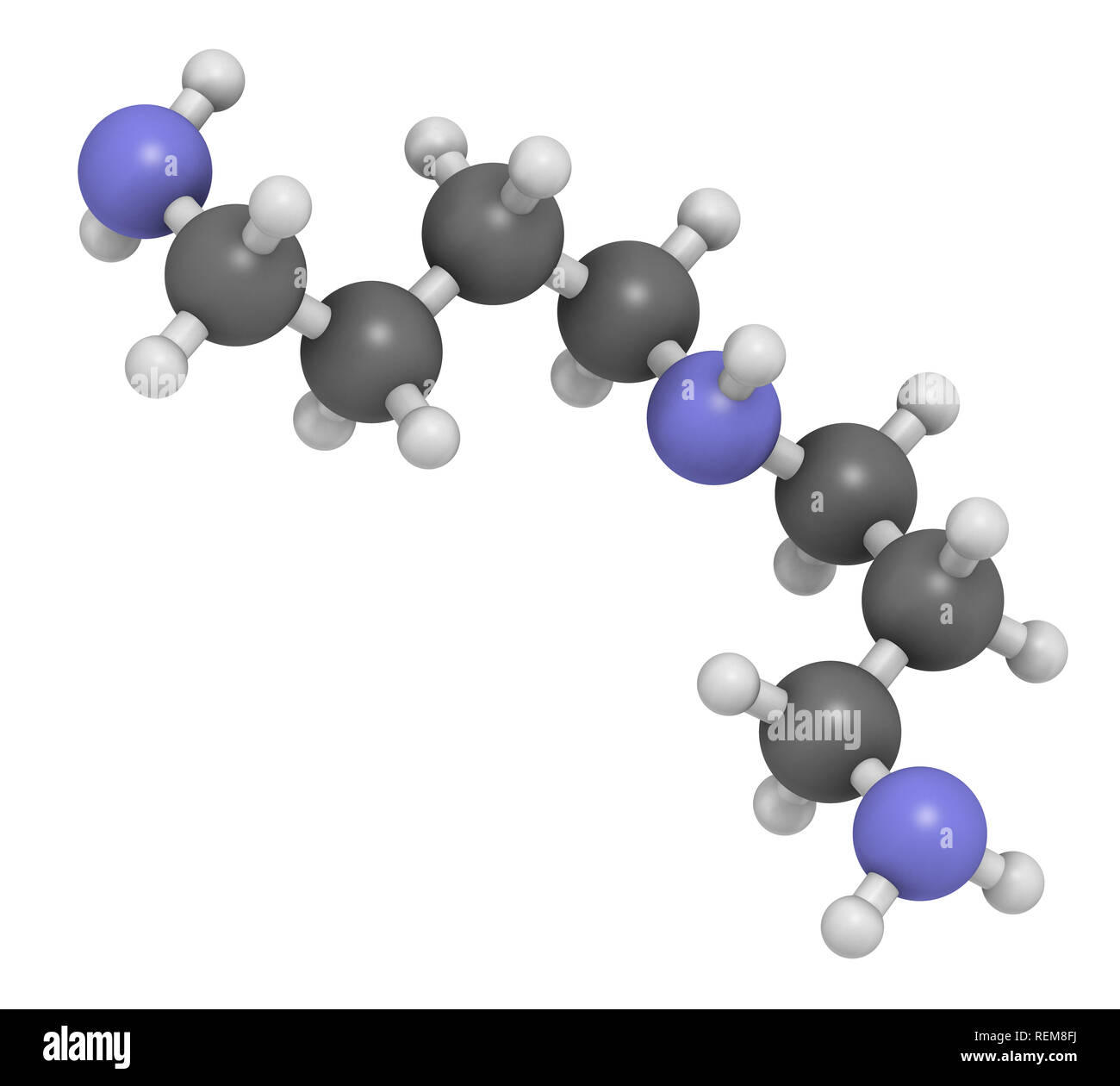 Spermidine molecule. 3D rendering. Atoms are represented as spheres ...