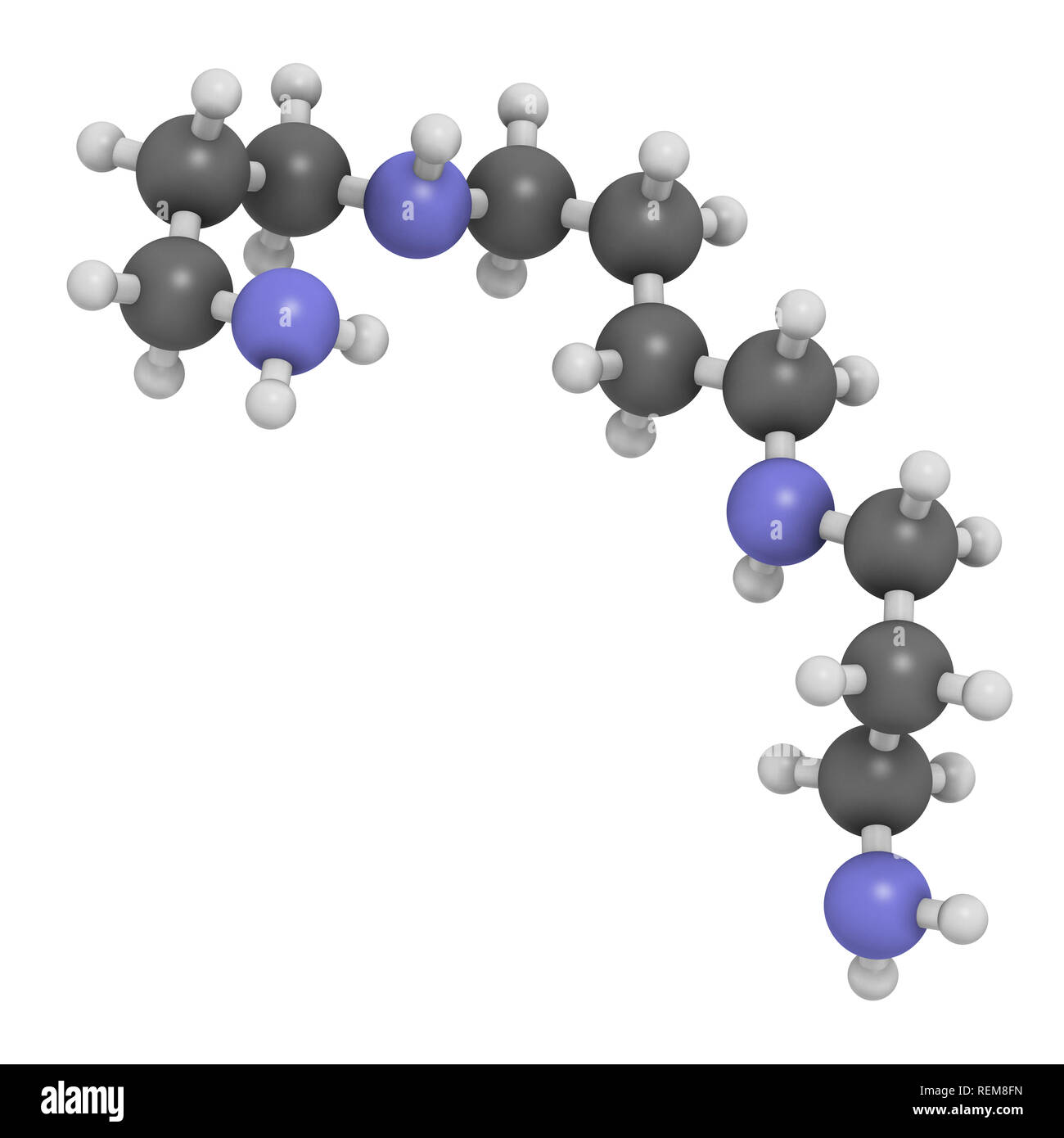 Spermine molecule. 3D rendering. Atoms are represented as spheres with ...
