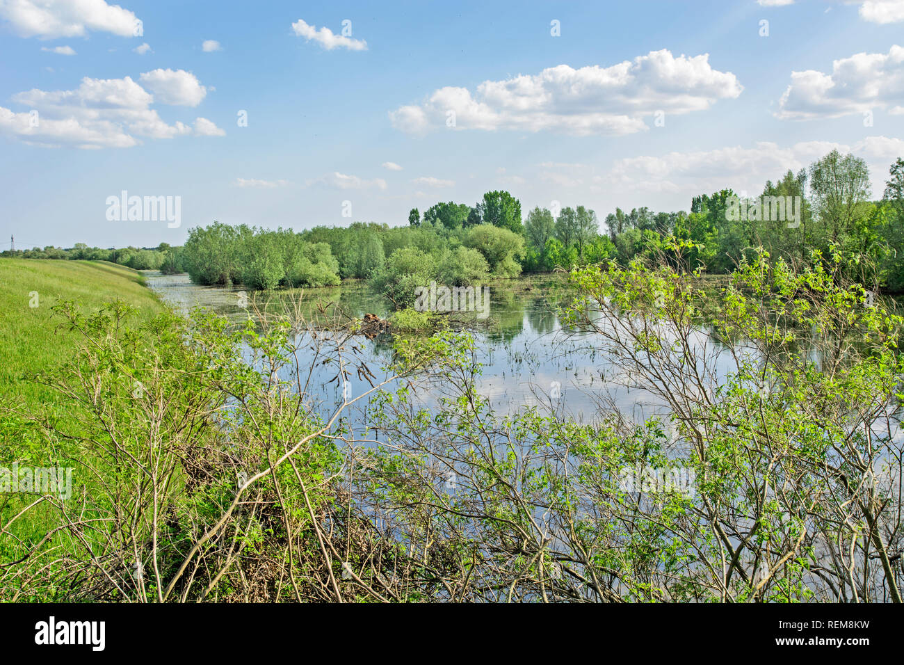 Appearance submerged meadows in early spring after pouring river Stock ...