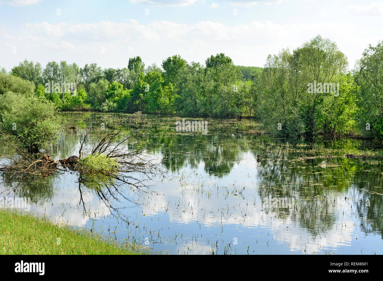Season of appearance hi-res stock photography and images - Alamy