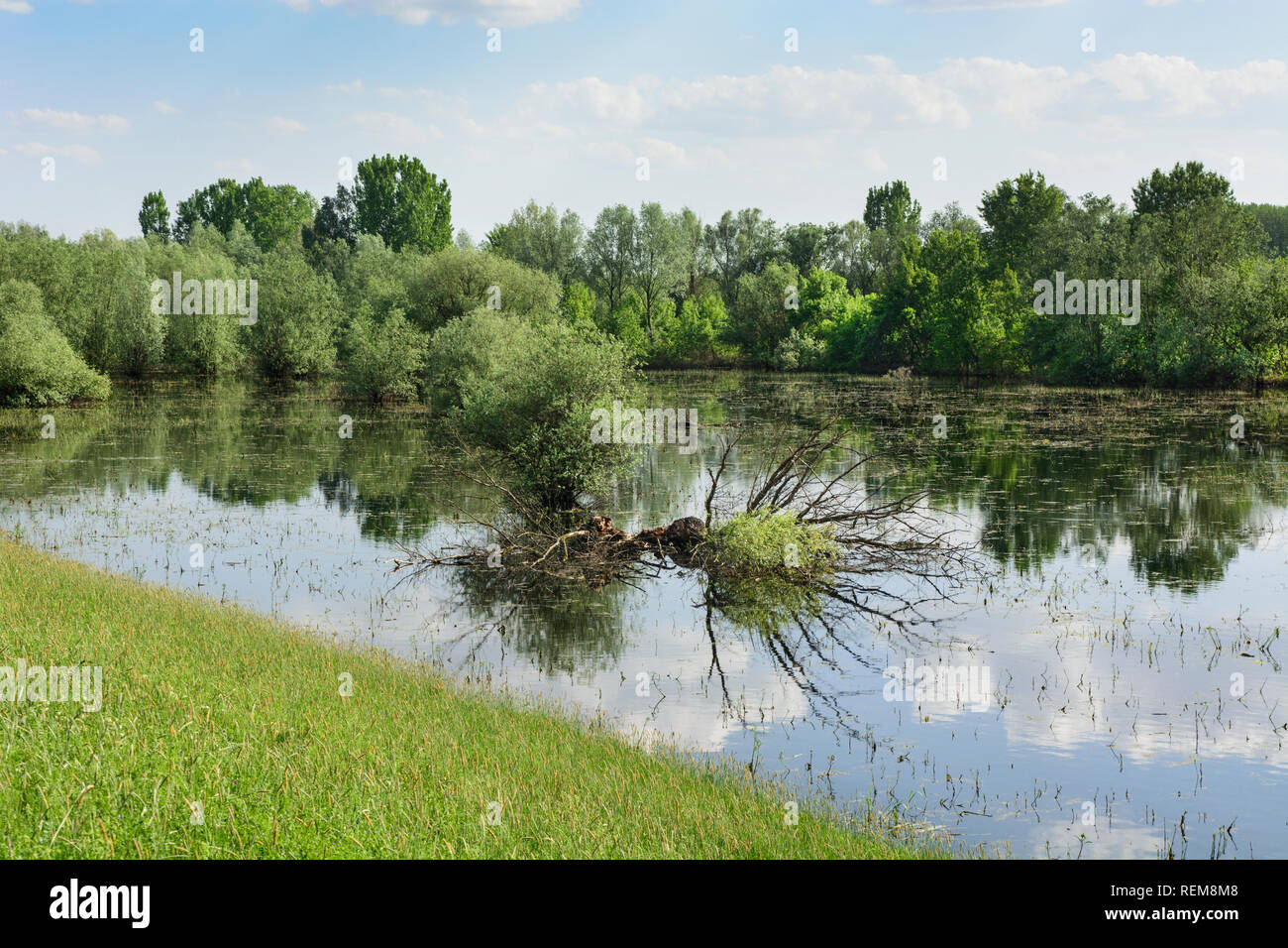 Season of appearance hi-res stock photography and images - Alamy
