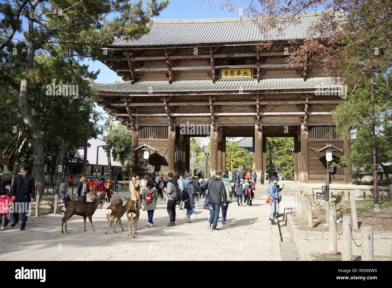 Nandaimon gate of todaiji hi-res stock photography and images - Alamy