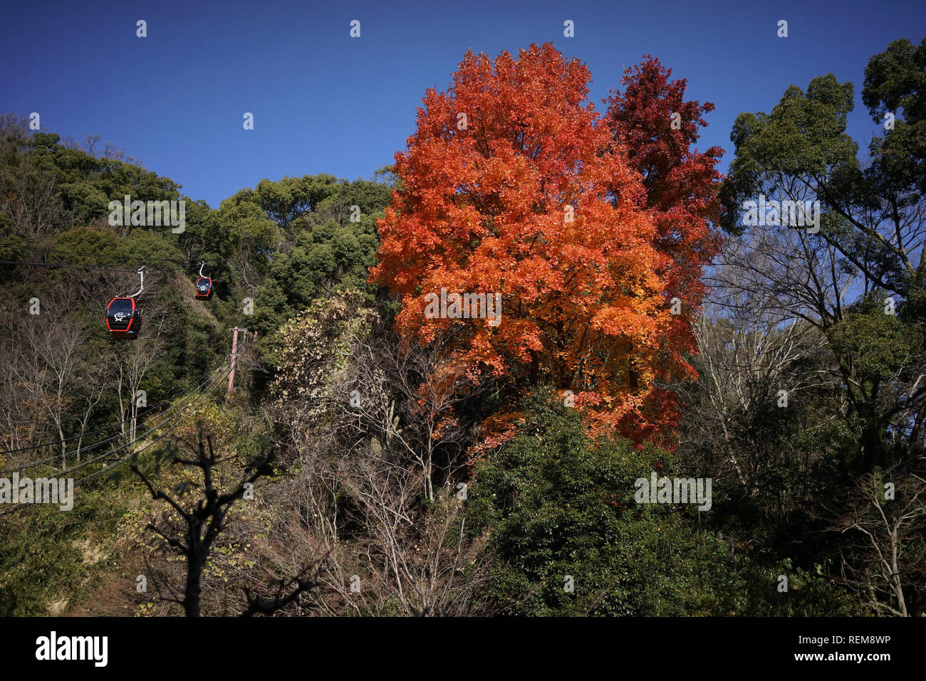 Shin kobe ropeway hi-res stock photography and images - Alamy