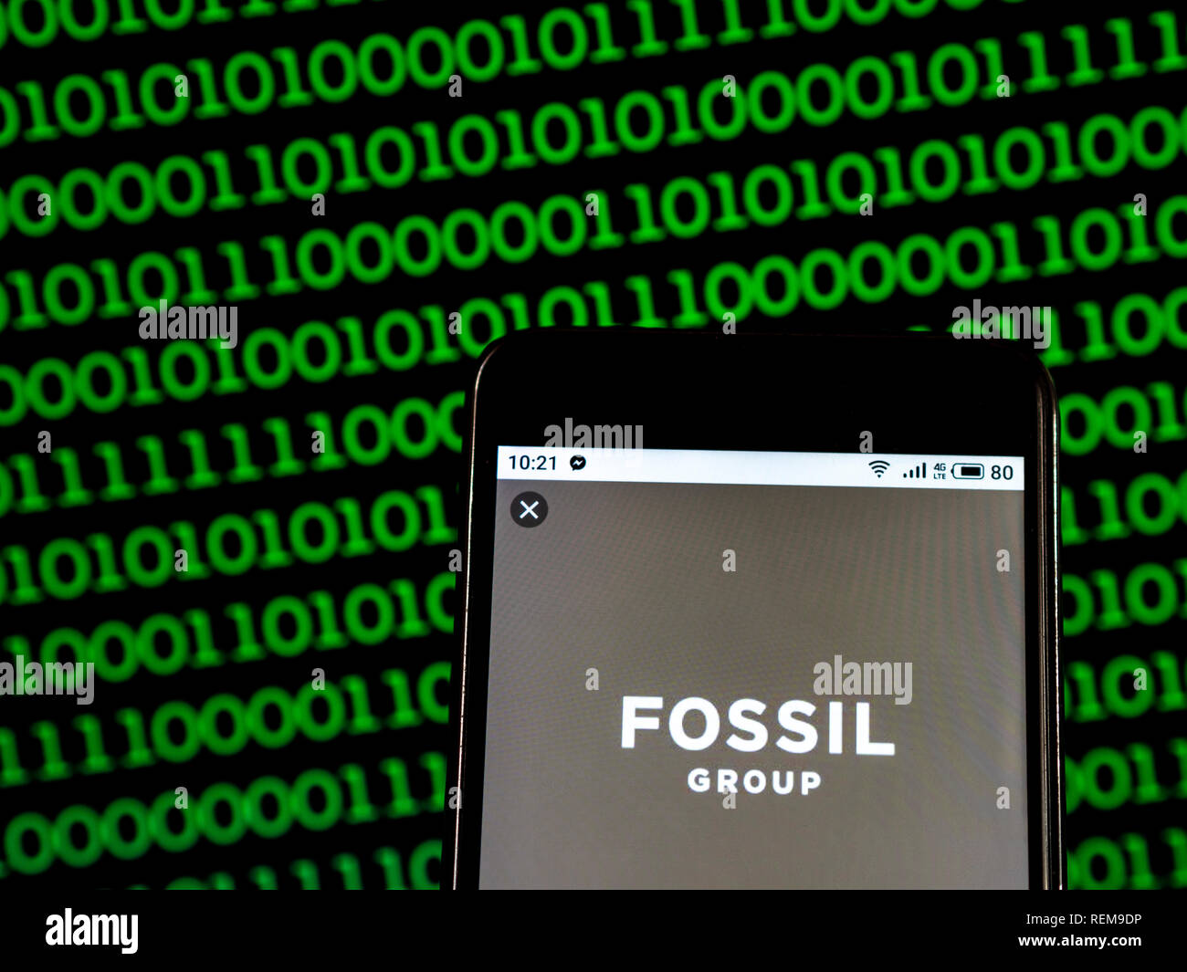 Fossil group hi-res stock photography and images - Alamy