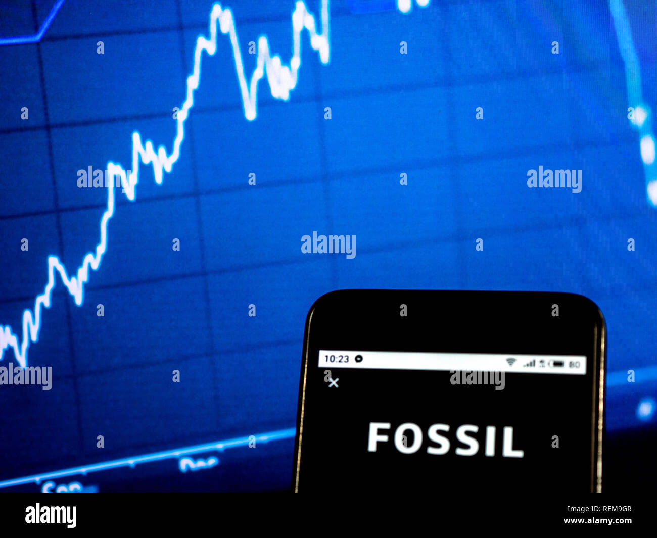Fossil group hi-res stock photography and images - Alamy