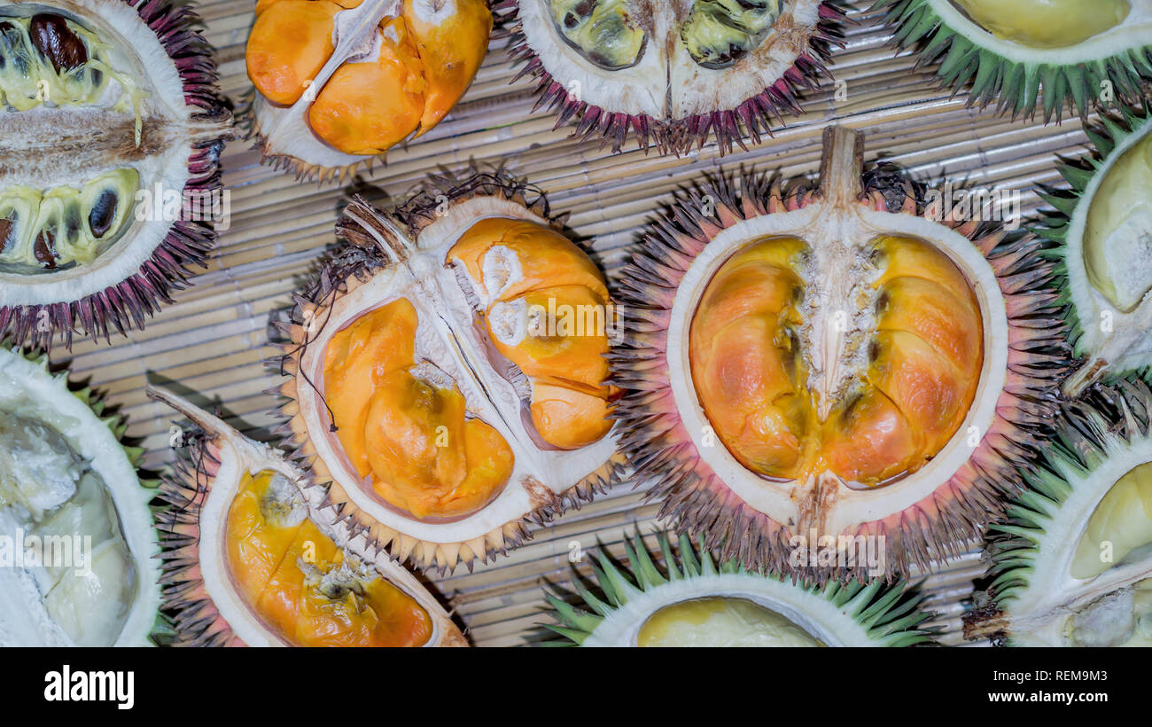 Durian durio kutejensis hi-res stock photography and images - Alamy