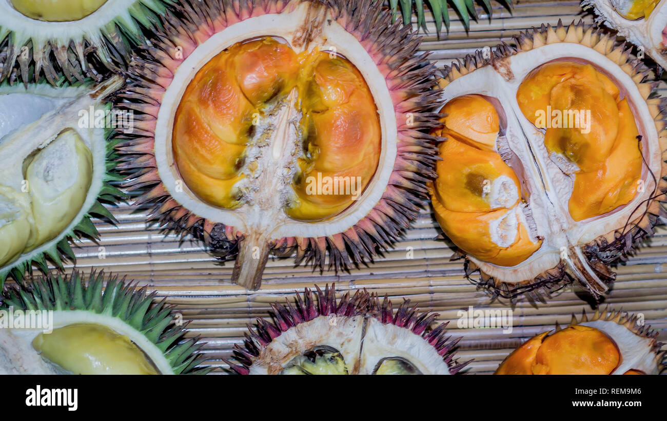 Botanical durian hi-res stock photography and images - Alamy