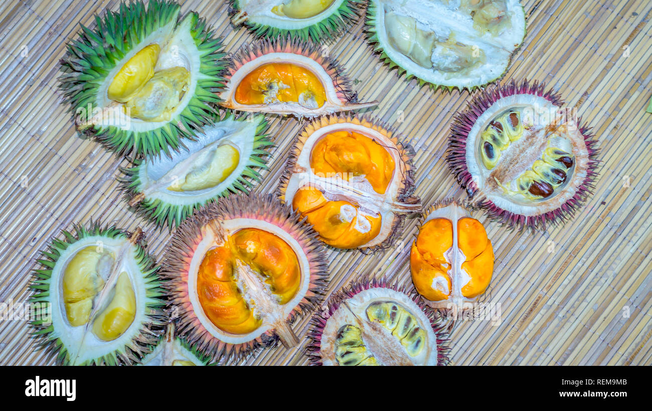 Durian durio kutejensis hi-res stock photography and images - Alamy