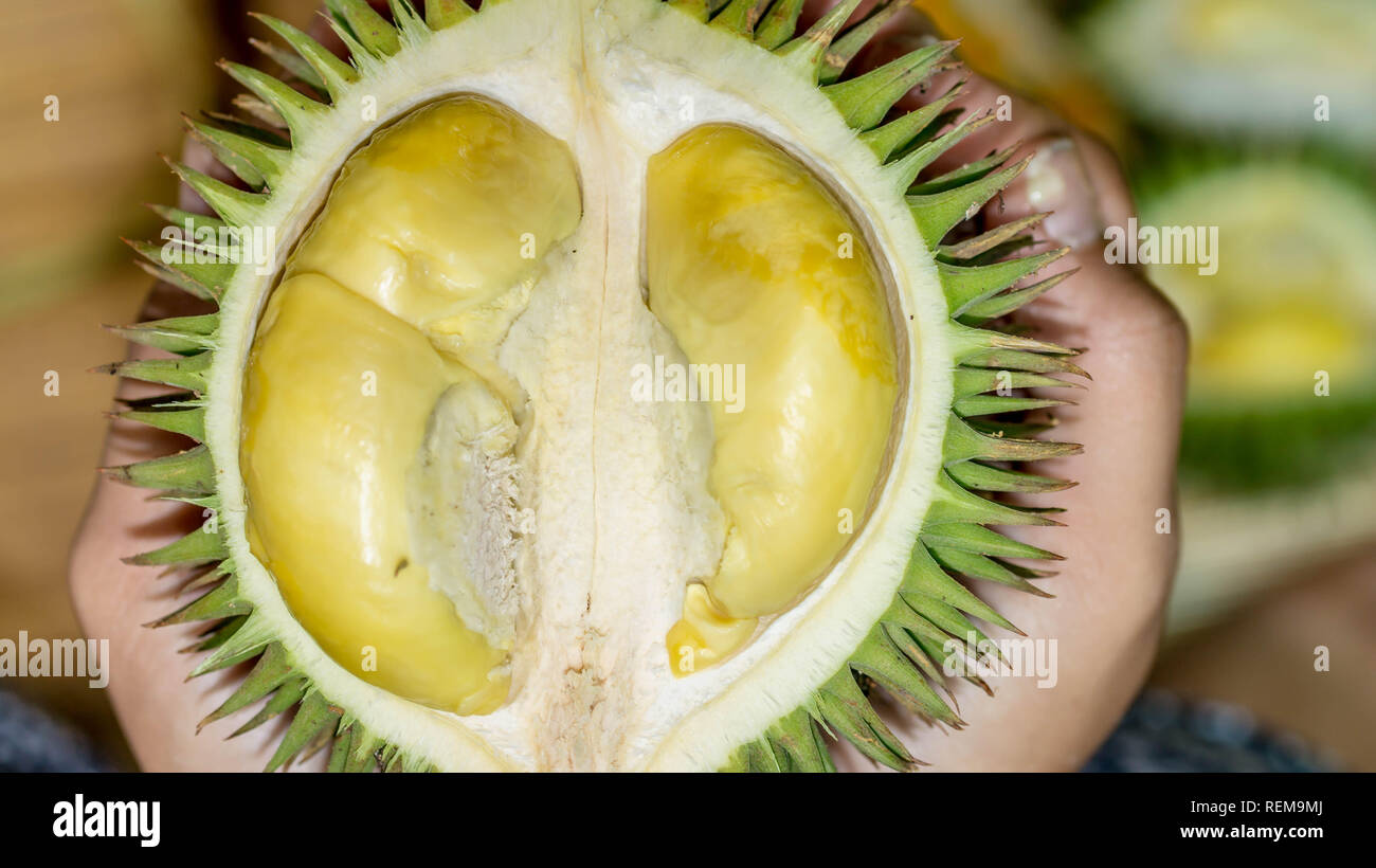 Durian variety hi-res stock photography and images - Alamy