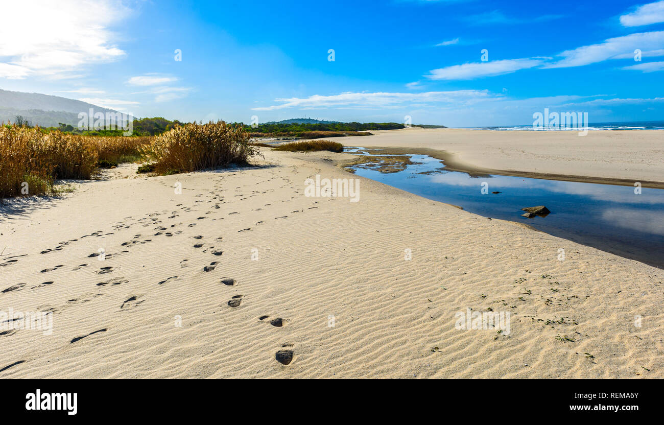 Footsteps tracks on sandy beach in Portugal Atlantic coast. Tracks in ...