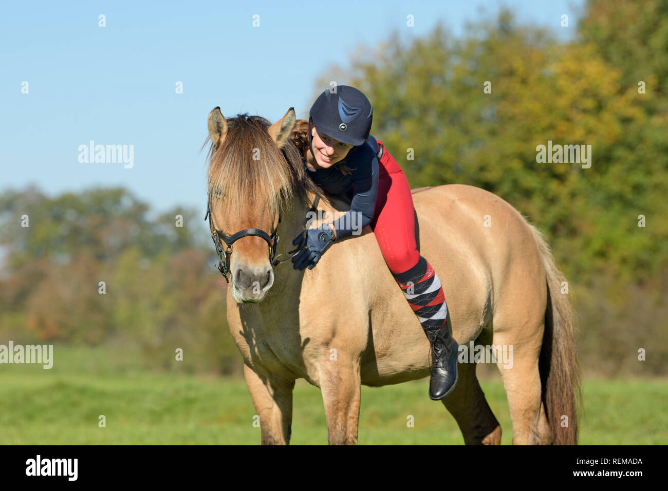Norwegian Fjord Horse Riding