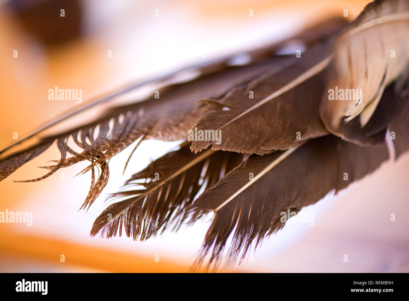Feather pen in clay inkwell. Medieval, vintage, retro background ...